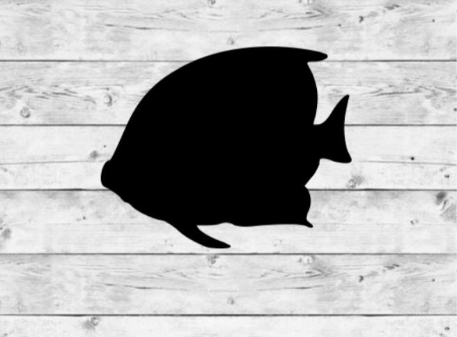 Angel Fish Decal Angle Fish Vinyl Decal Angel Fish Sticker | Etsy