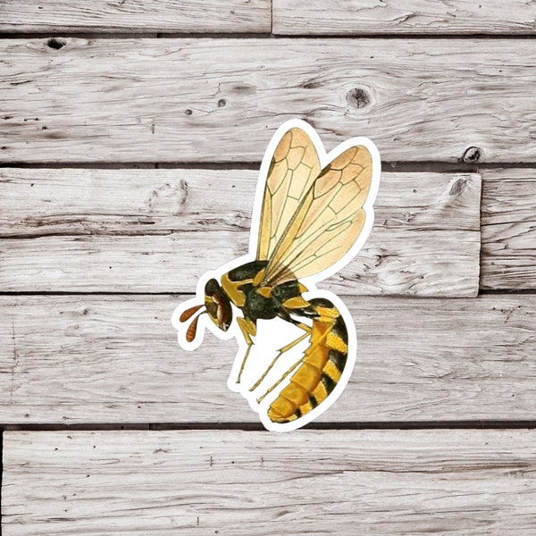 Sticker Wasp Stickers Stickers - Etsy