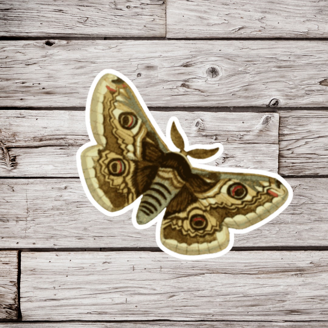 Emperor Moth Sticker, Moth Magnet, Moth Sticker, Vintage Emperor ...