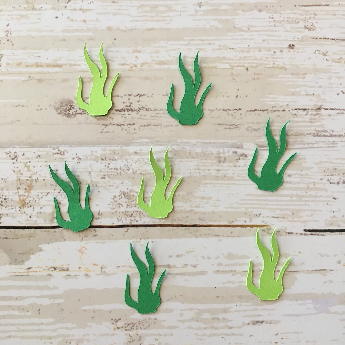Seaweed Confetti Seaweed Cut Out Seaweed Decoration - Etsy