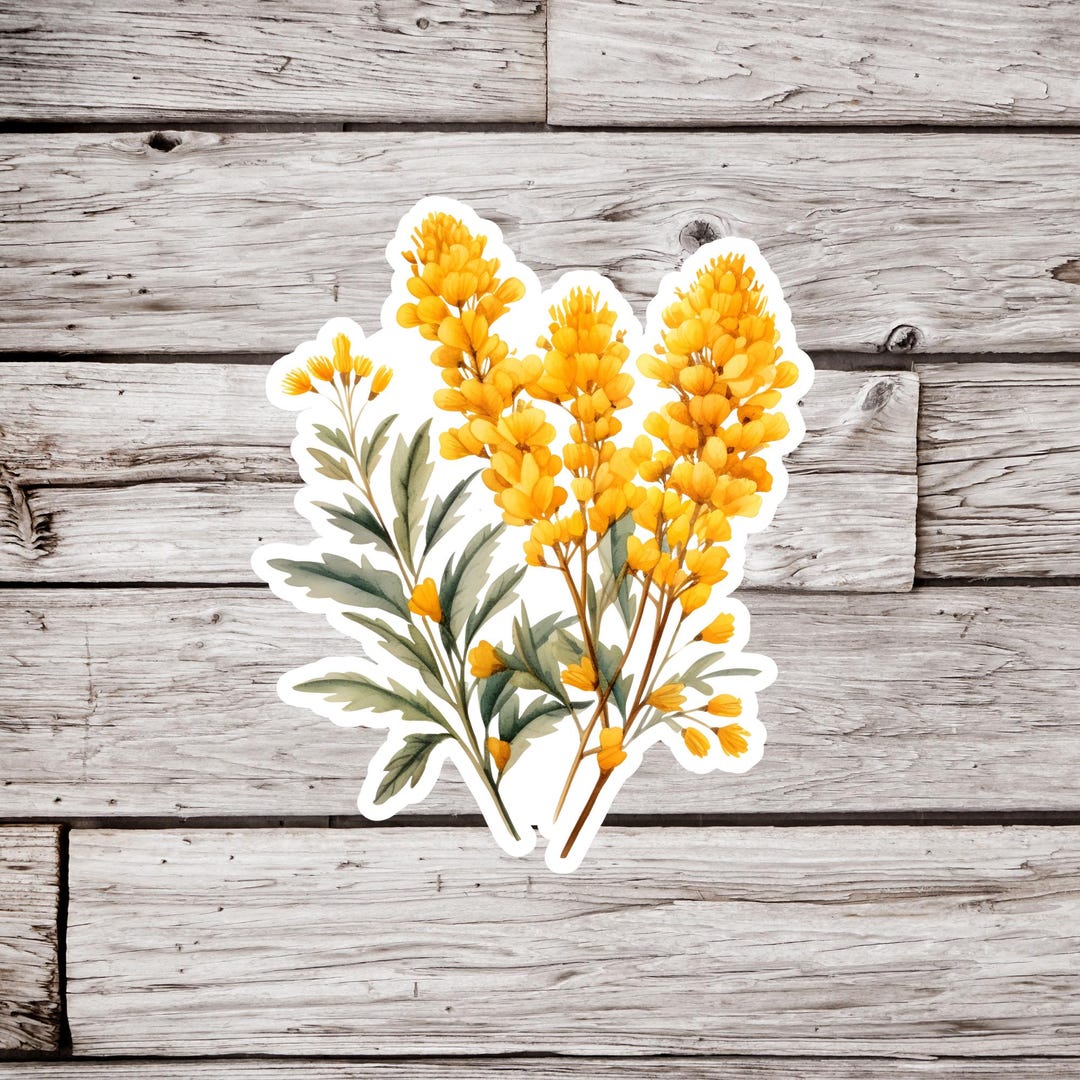 Goldenrod Sticker, Solidago Sticker, Flower Sticker, Wildflower Sticker ...