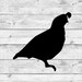 Quail Decal | Quail Vinyl Decal | Quail Sticker | Bobwhite Decal | Game ...