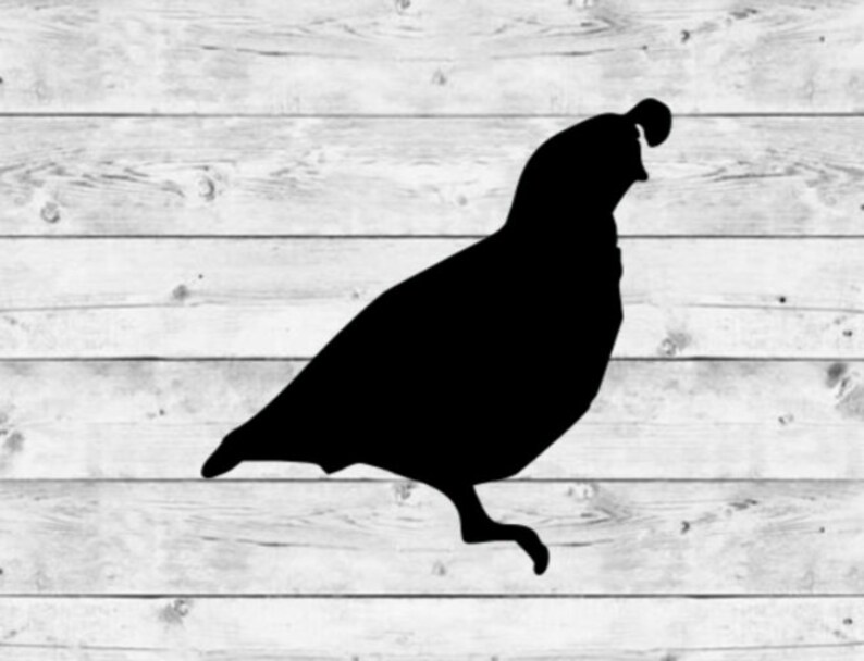 Quail Decal Quail Vinyl Decal Quail Sticker Bobwhite | Etsy