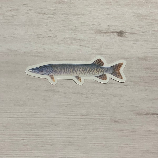 Muskie - Etsy