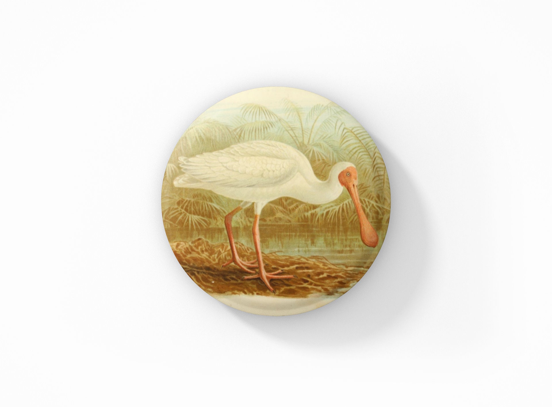 Spoonbill Pin, Spoonbill Pin Back Button, Bird Pin, Natural History Pin ...