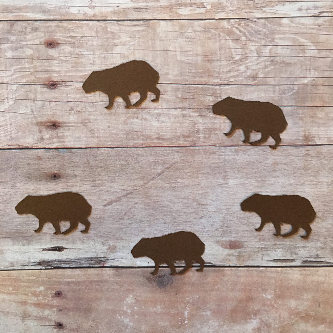 Capybara Confetti, Capybara Cut Outs, Capybara Decorations, Jungle ...