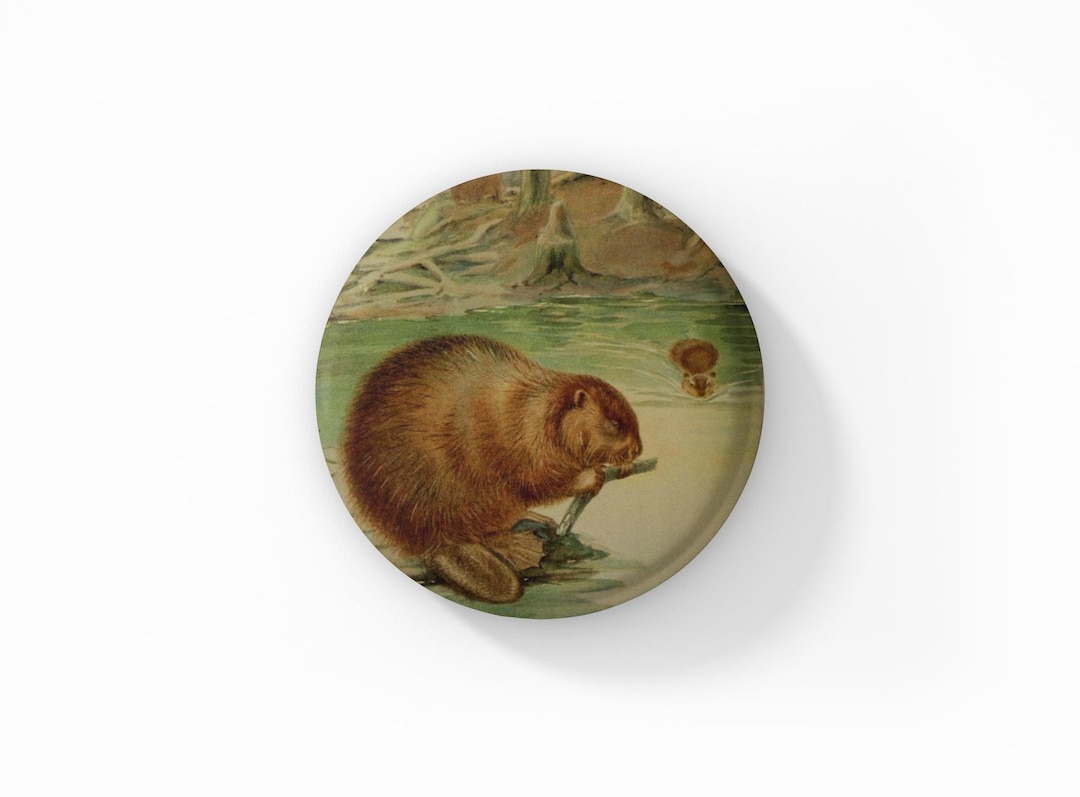 Beaver Pin Button, Beaver Keychain, Beaver Magnet, Animal Magnet ...