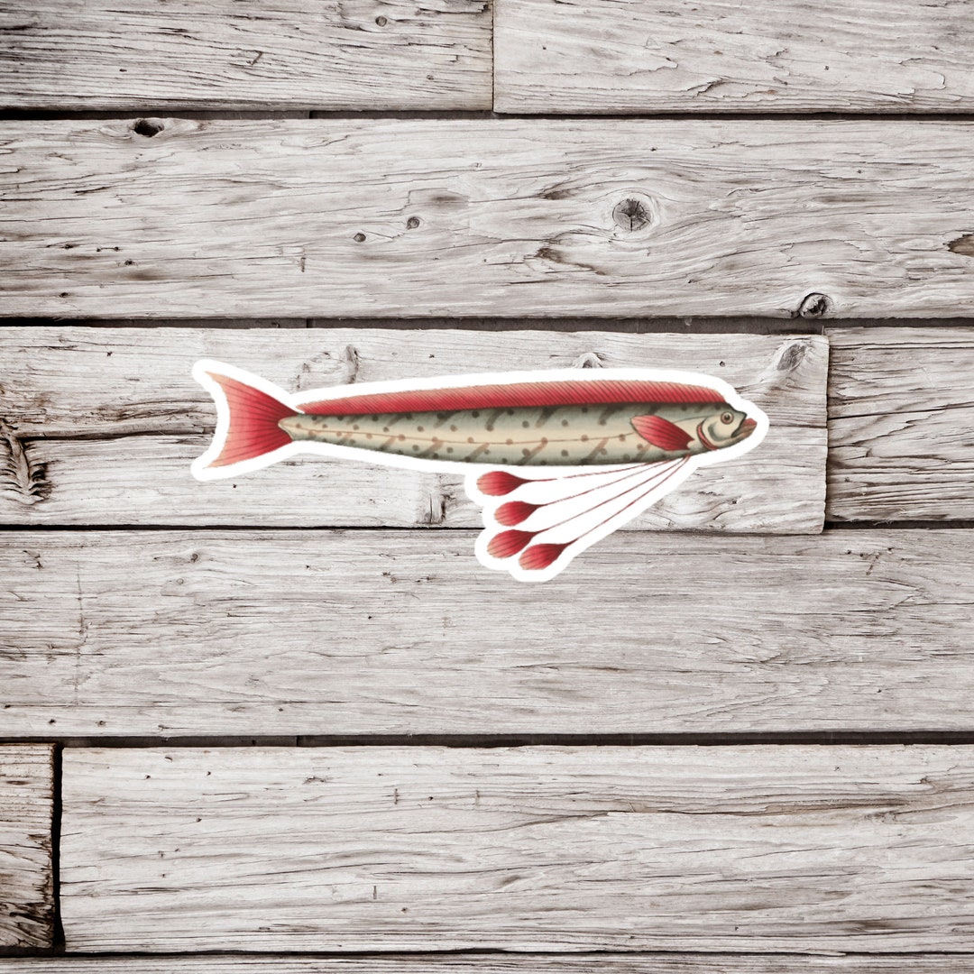 Oarfish Sticker, Deep Sea Fish Sticker, Vintage Oarfish Sticker, Ocean ...
