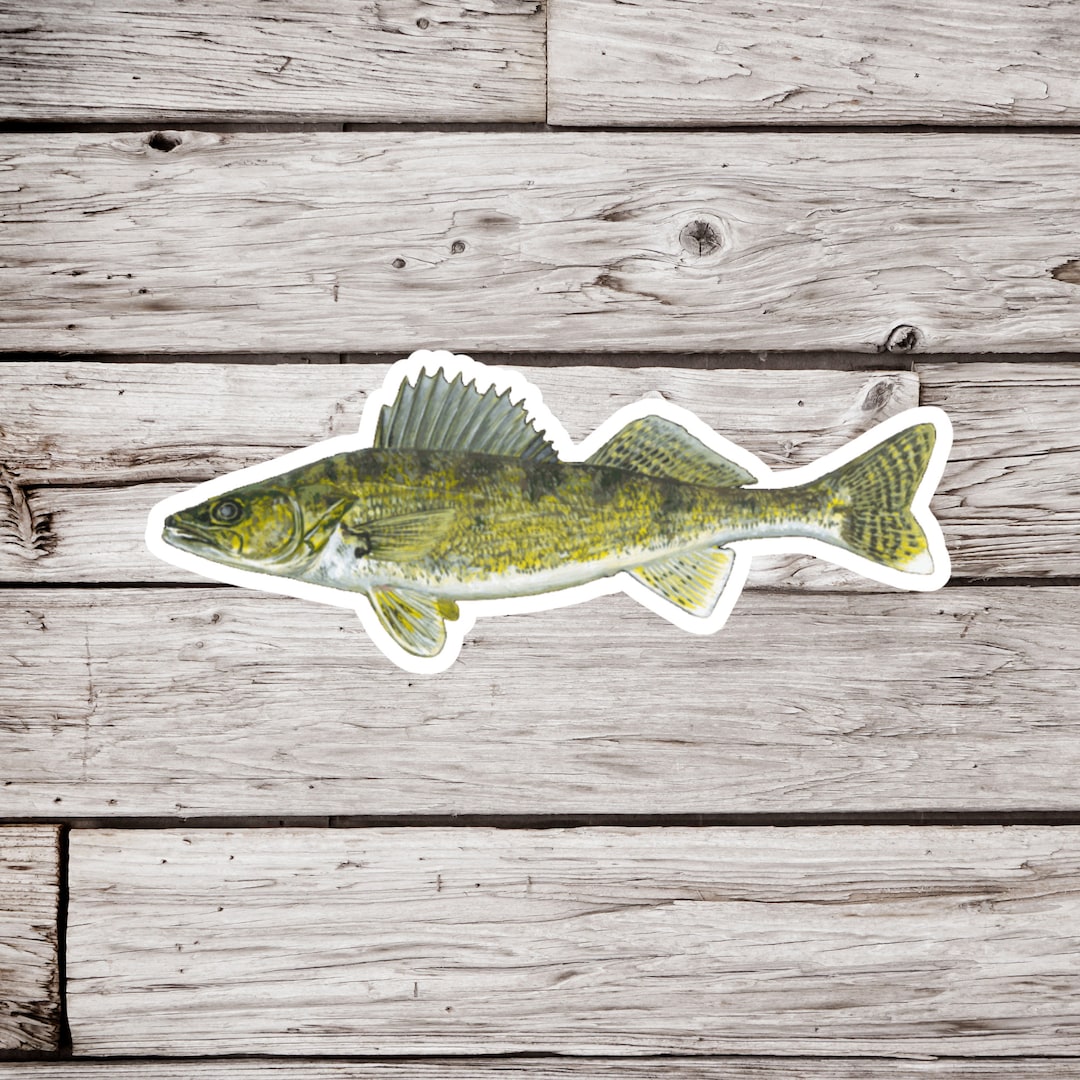 Walleye Sticker, Fish Sticker, Waterproof, Fisherman Sticker, Fishing ...