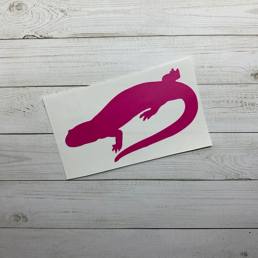 Salamander Sticker | Salamander Decal | Amphibian Decal | Nute Decal ...