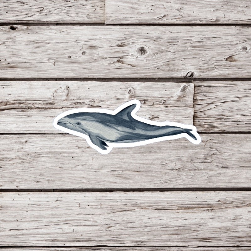 Dolphin Sticker - Etsy