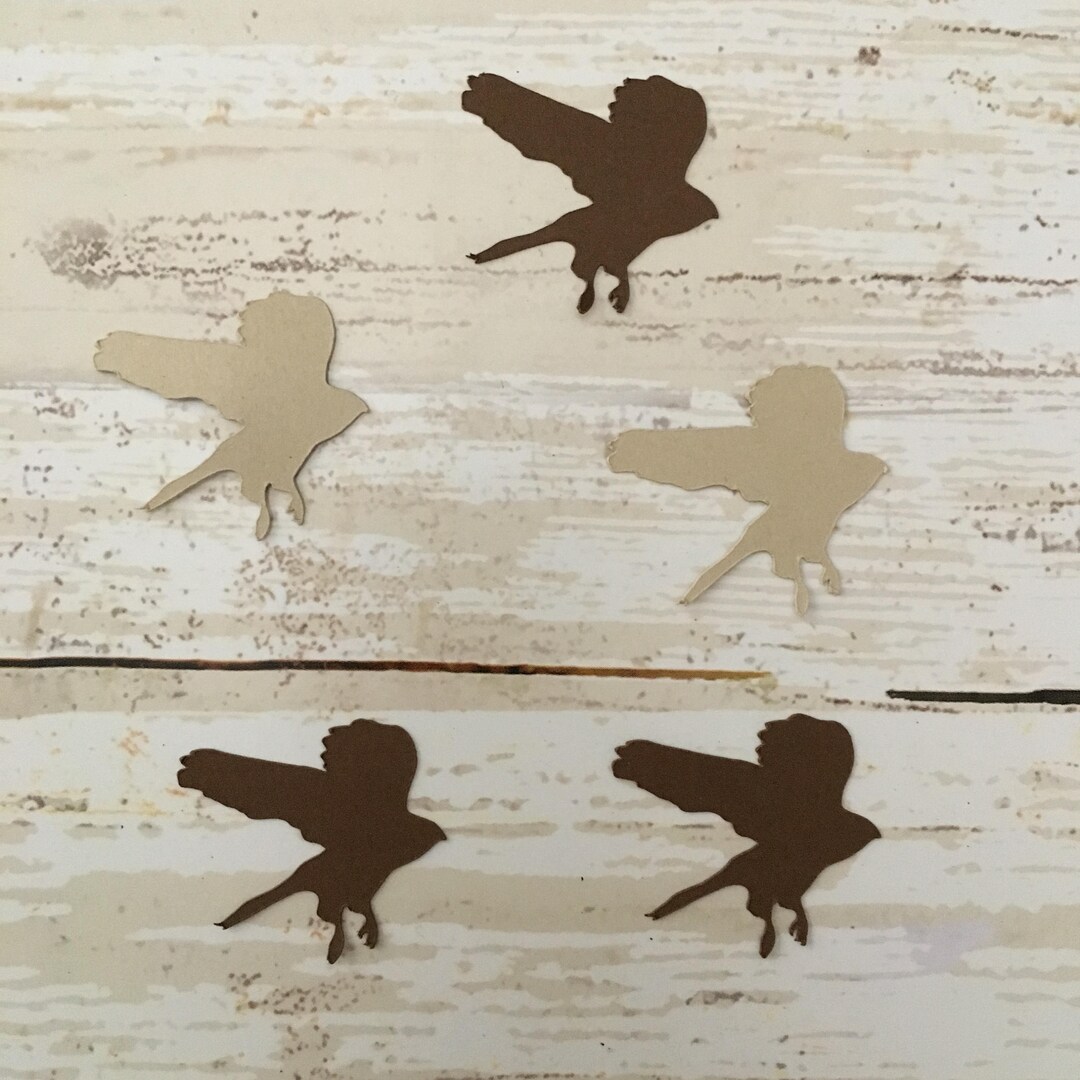 Hawk Confetti | Hawk Cut Outs | Hawk Decoration | Birds of Prey ...