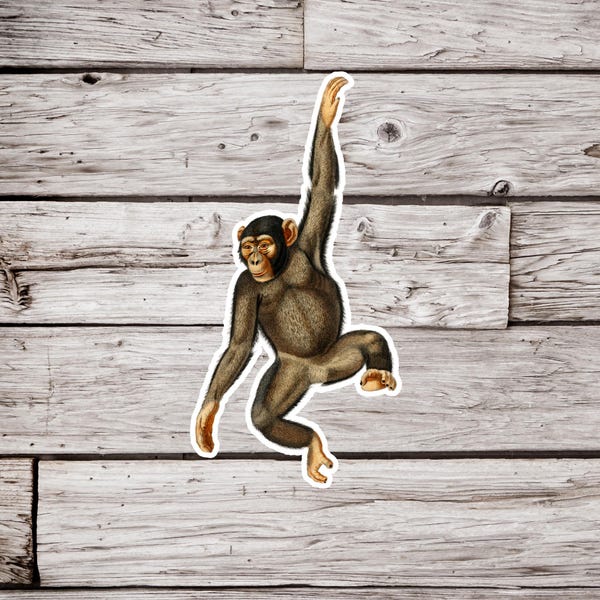 Chimpanzee Art - Etsy