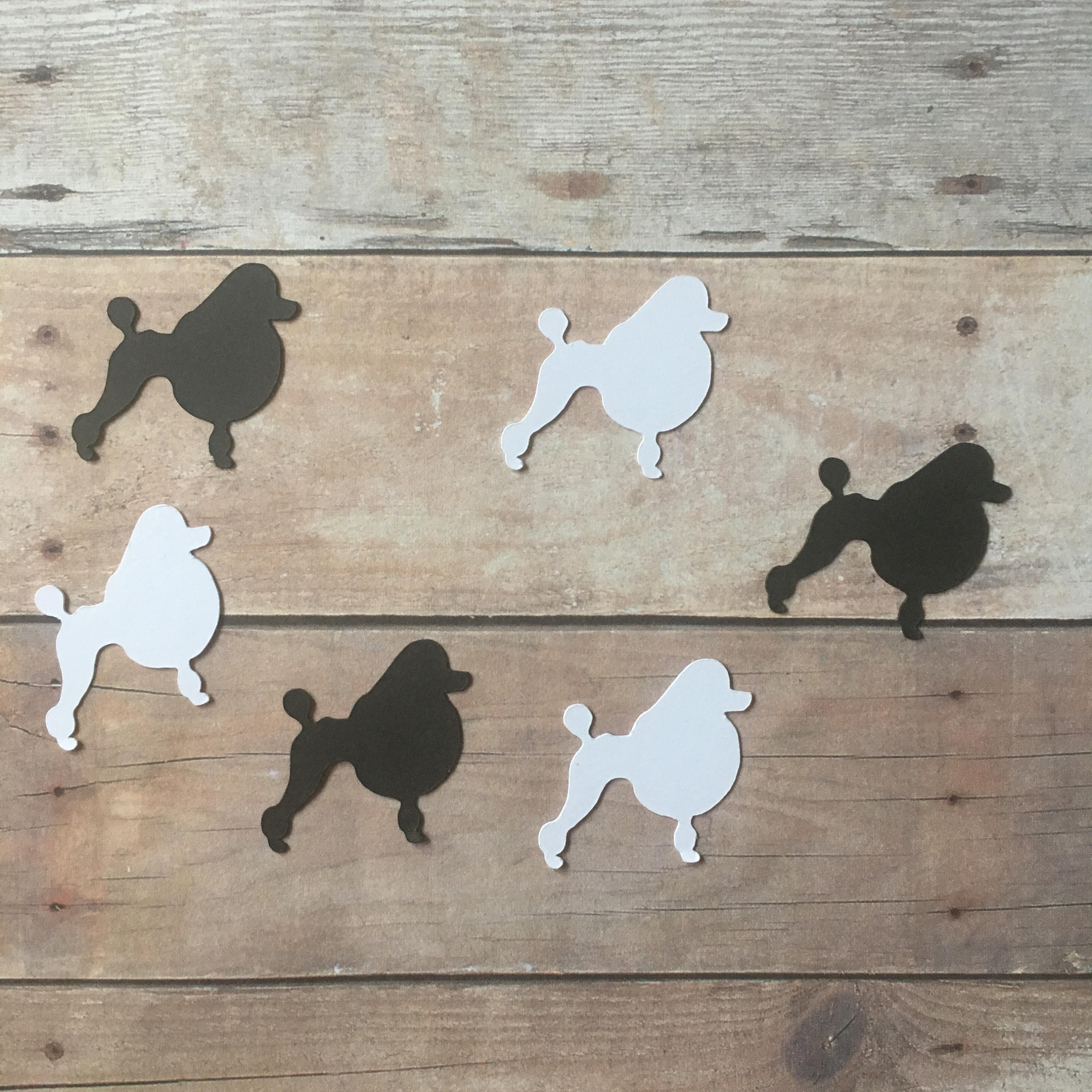 Poodle Confetti Poodle Cut Out Poodle Decoration Poodle - Etsy