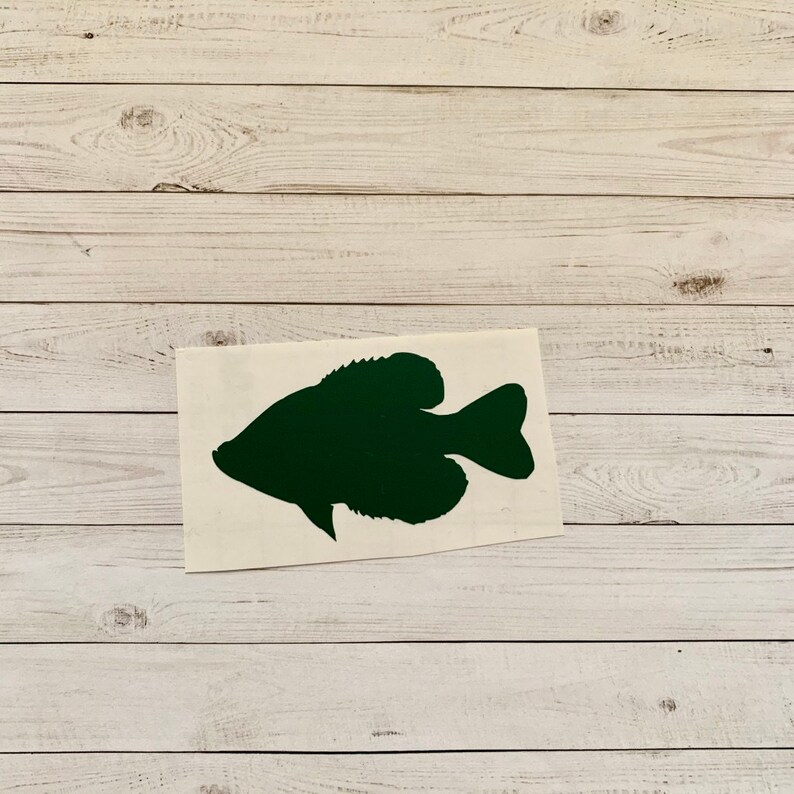 Crappie Decal Crappie Vinyl Decal Crappie Sticker Fish - Etsy