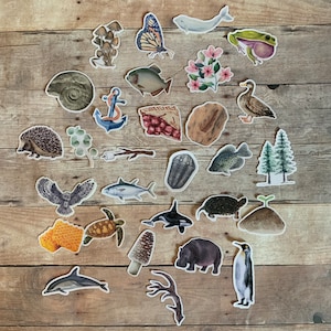 Mystery Mini Sticker Pack, Random Sticker Pack, Assorted Small Sticker ...