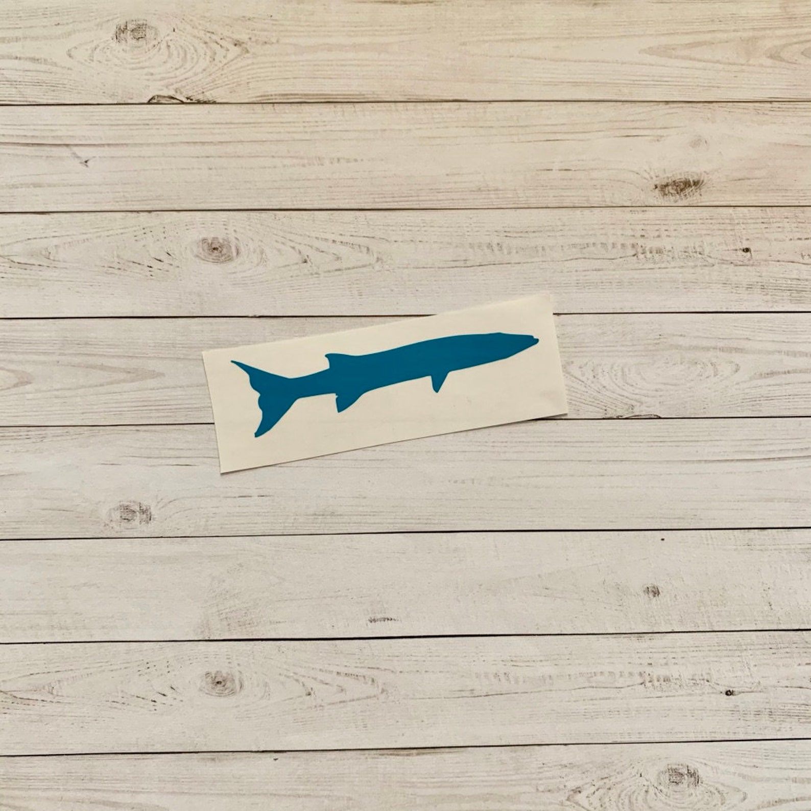 Barracuda Decal Barracuda Vinyl Decal Barracuda Sticker | Etsy