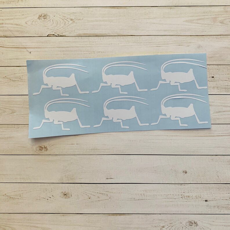 Cricket Decal Cricket Vinyl Decal Cricket Sticker Bug | Etsy