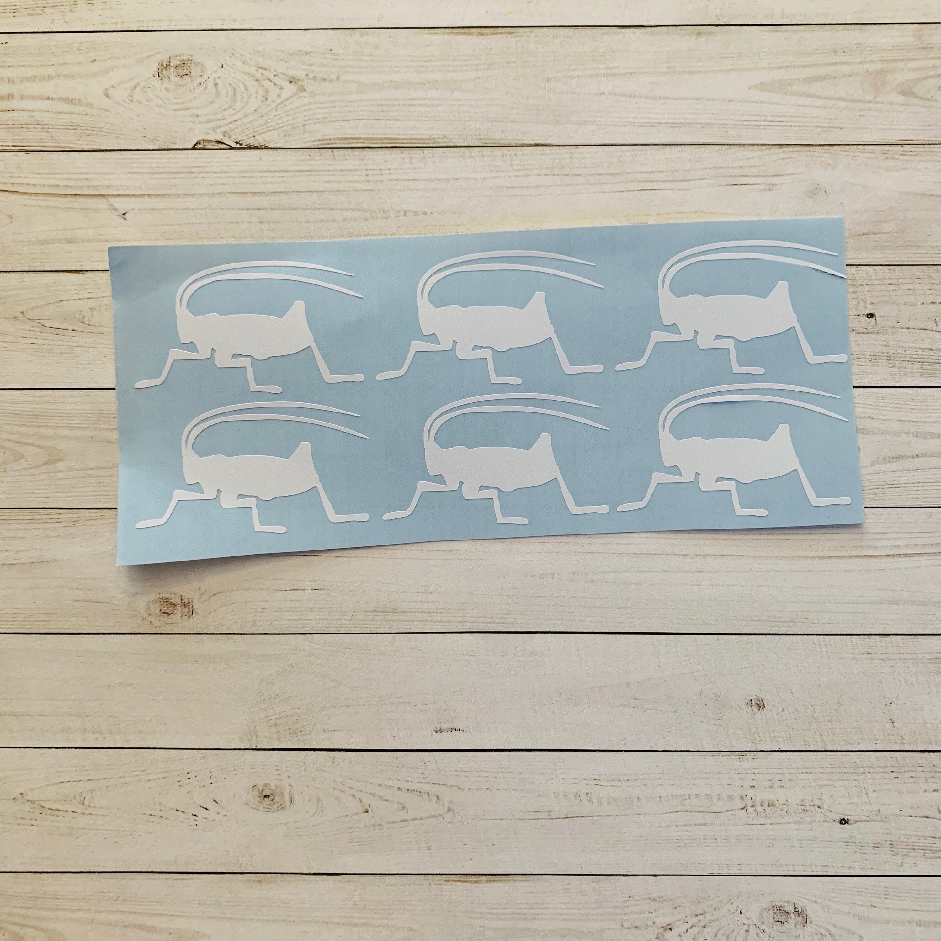 Cricket Decal Cricket Vinyl Decal Cricket Sticker Bug | Etsy