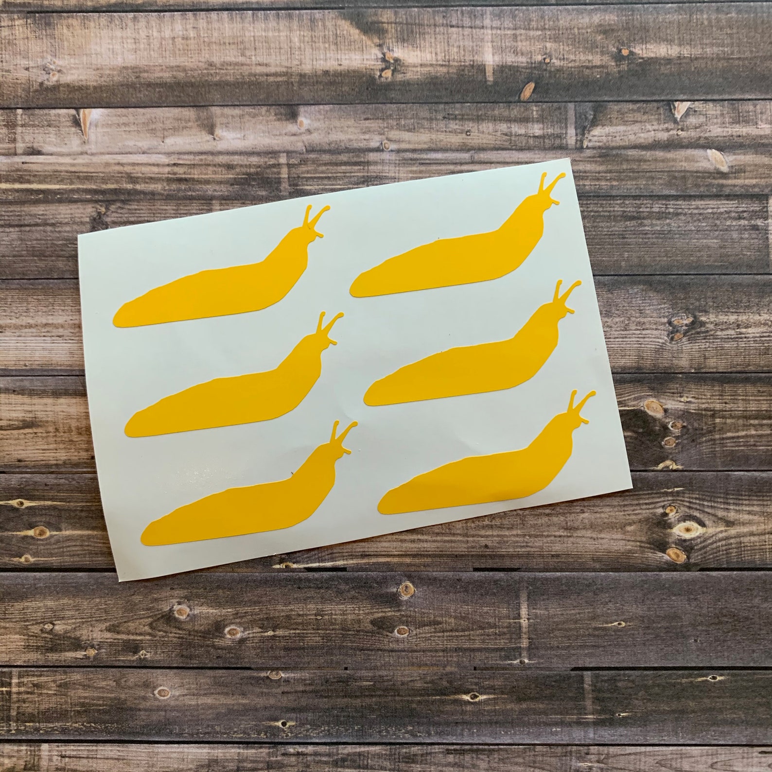 Slug Decal Slug Vinyl Decal Slug Sticker Garden Decal | Etsy