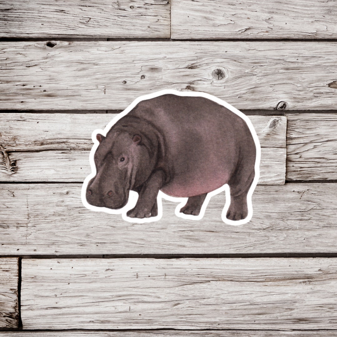 Hippo Sticker, Hippopotamus Sticker, Waterproof Sticker, Animal Sticker ...