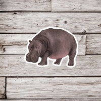 Hippos - Etsy