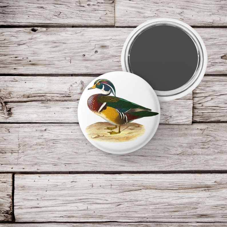 Wood Duck Pin, Wood Duck Pin Back Button, Duck Pin, Vintage Wood Duck ...