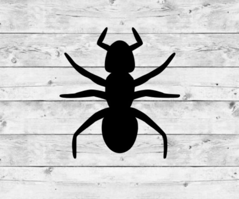 Ant Decal Ant Vinyl Decal Ant Sticker Bug Decal Bug | Etsy