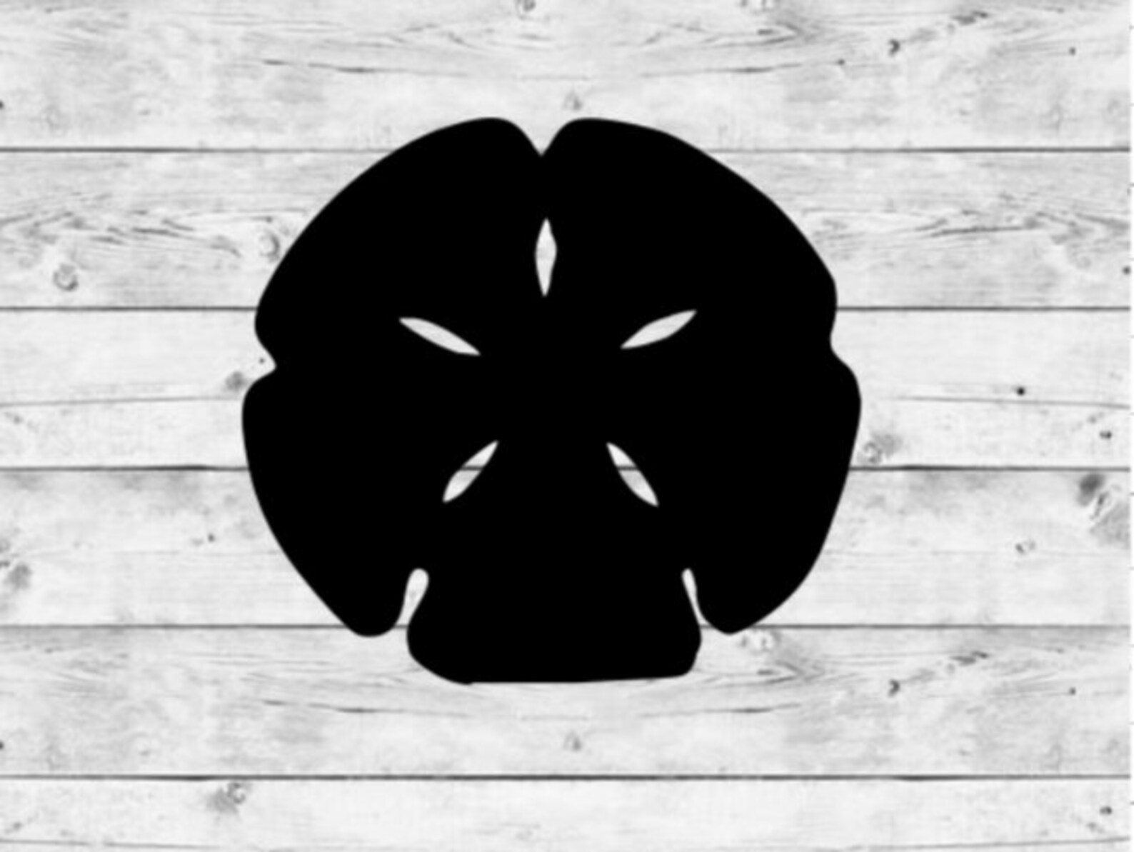 Sand Dollar Decal Sand Dollar Vinyl Decal Sand Dollar | Etsy