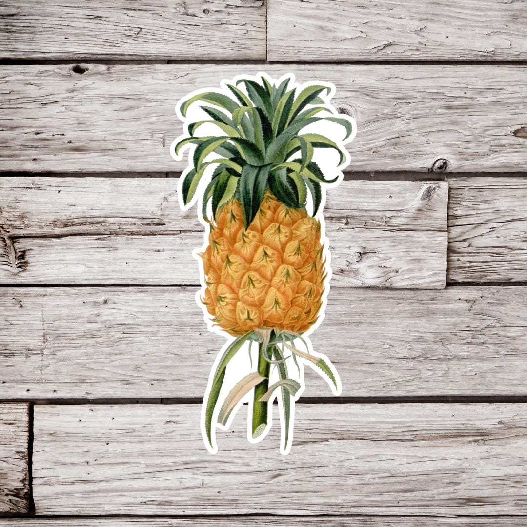 Pineapple Sticker, Fruit Sticker, Waterproof Sticker, Tropical Fruit ...