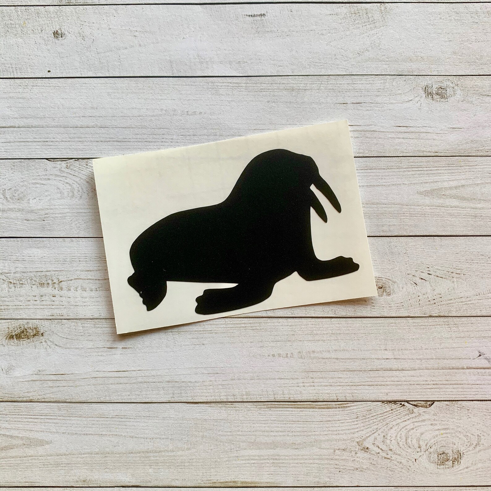 Walrus Decal Walrus Vinyl Decal Walrus Sticker Seal | Etsy