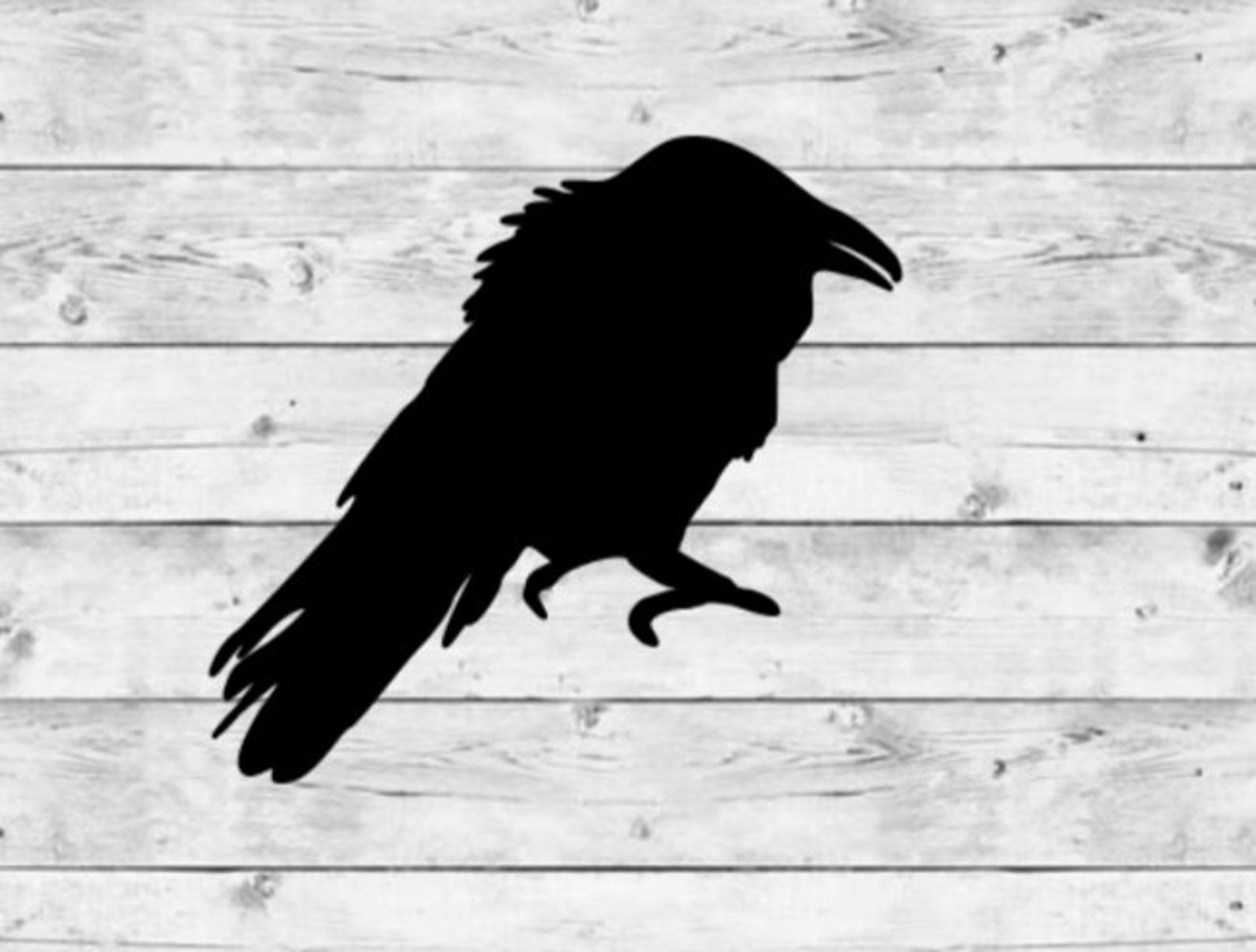 Crow Decal Crow Vinyl Decal Crow Sticker Raven Decal | Etsy