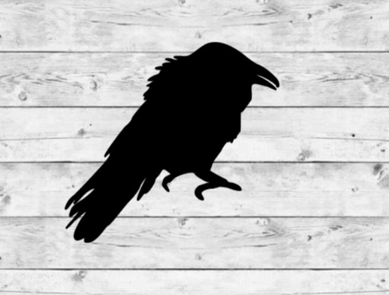 Crow Decal Crow Vinyl Decal Crow Sticker Raven Decal | Etsy