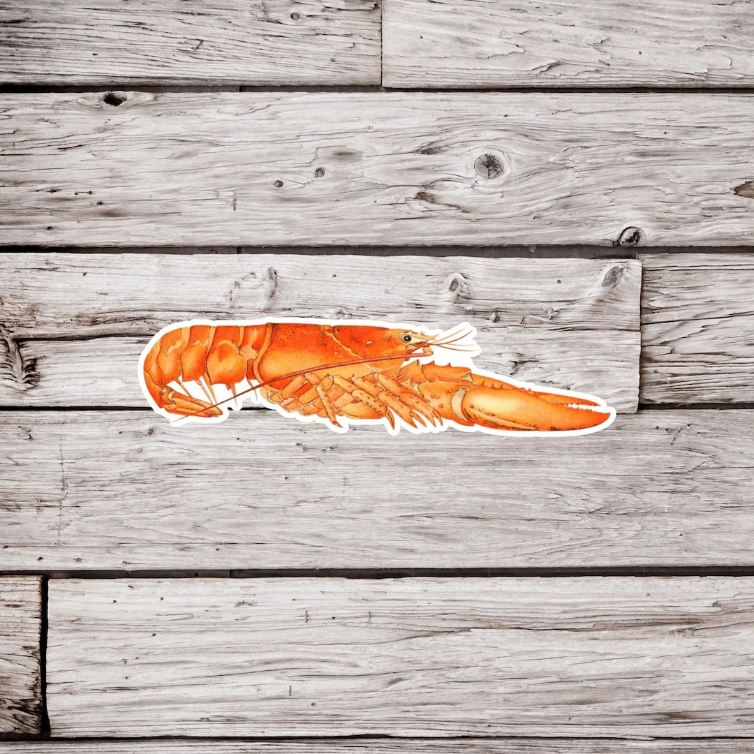 Lobster Sticker, Vintage Lobster Sticker, Crustacean Sticker ...