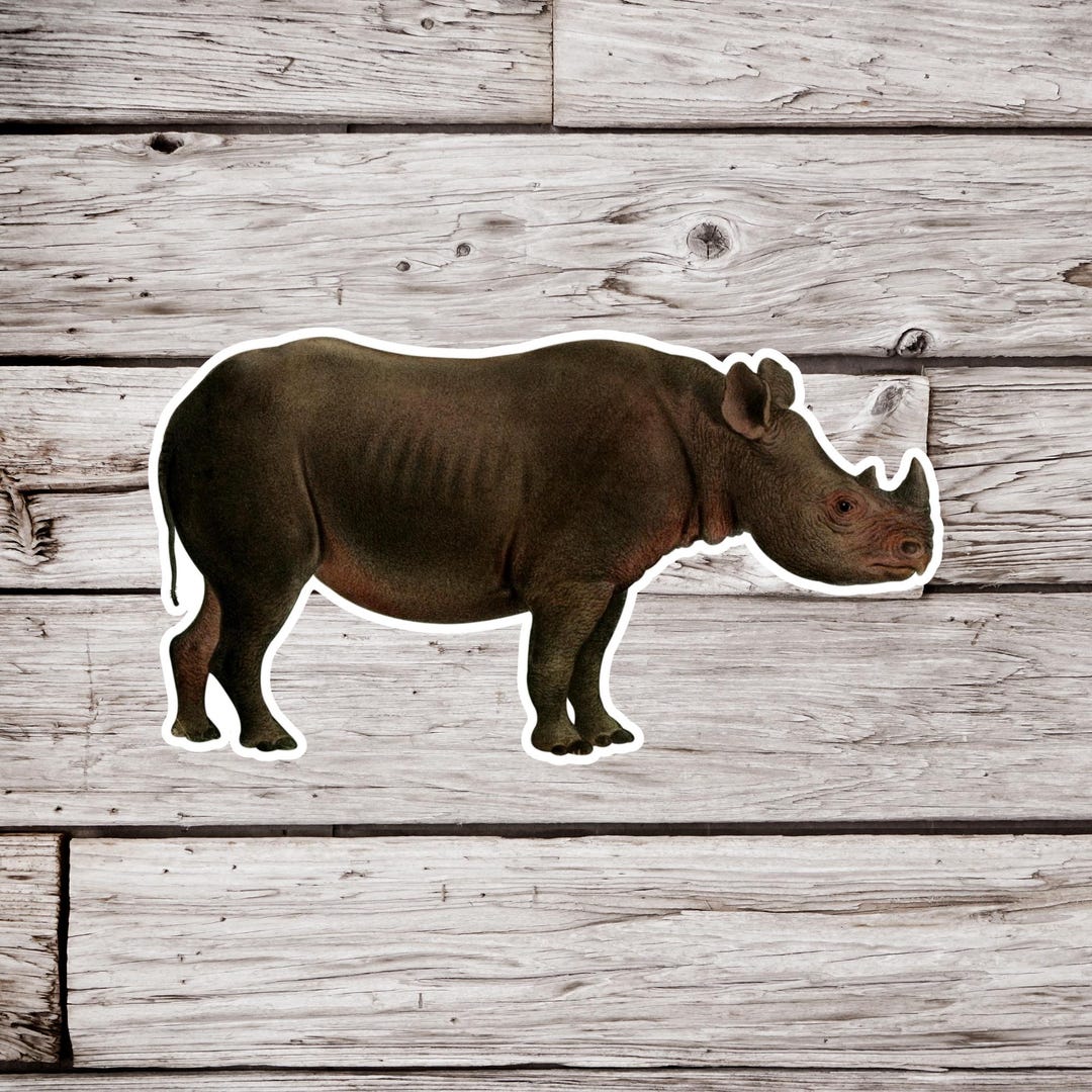 Rhinoceros Sticker, Rhino Sticker, Natural History Sticker, Waterproof ...