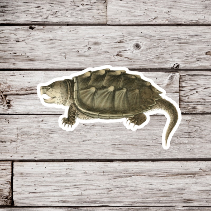 Snapping Turtle - Etsy