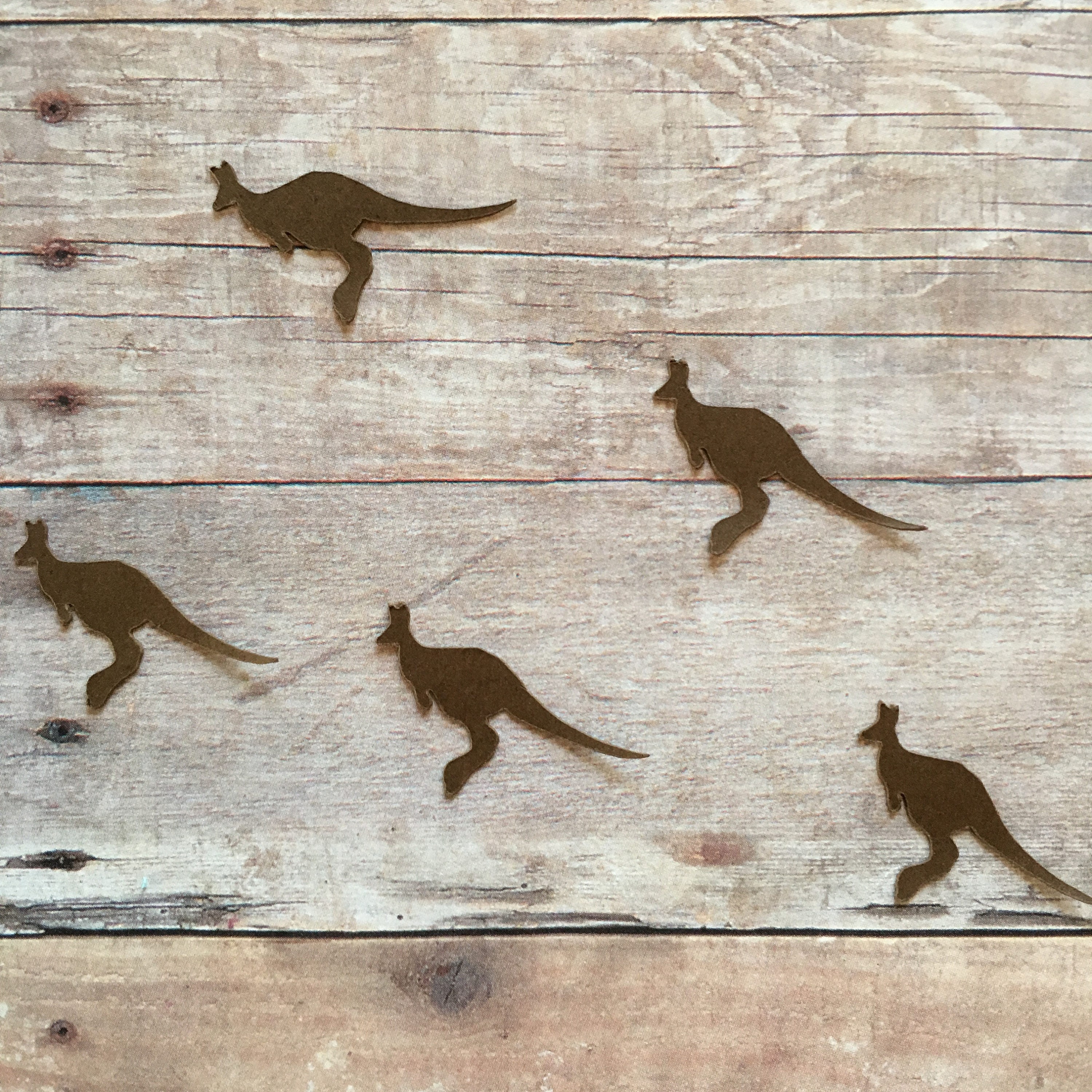 Kangaroo Confetti Kangaroo Cut Outs Kangaroo Decorations - Etsy
