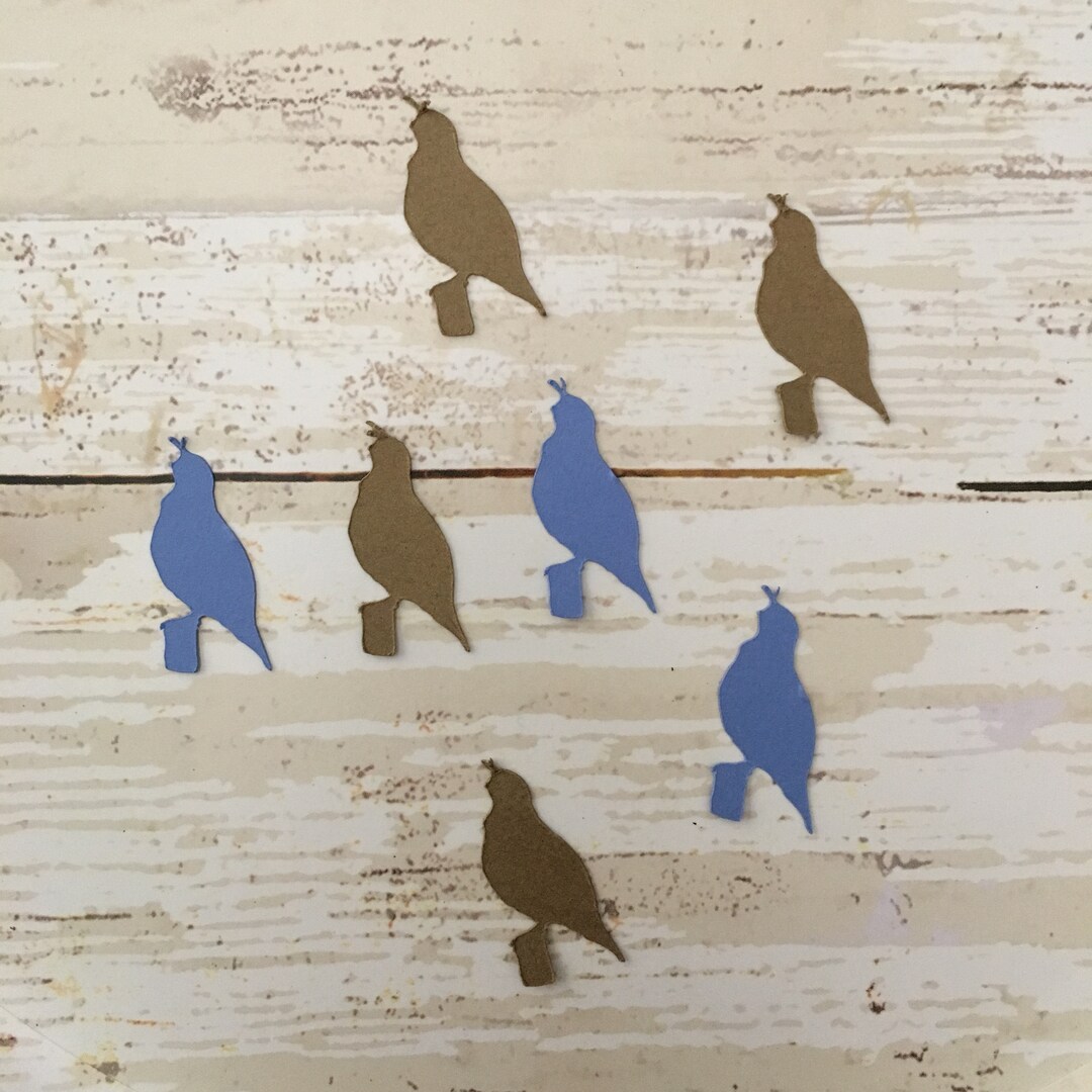 Quail Confetti Quail Cut Out Quail Decoration Bobwhite Confetti ...
