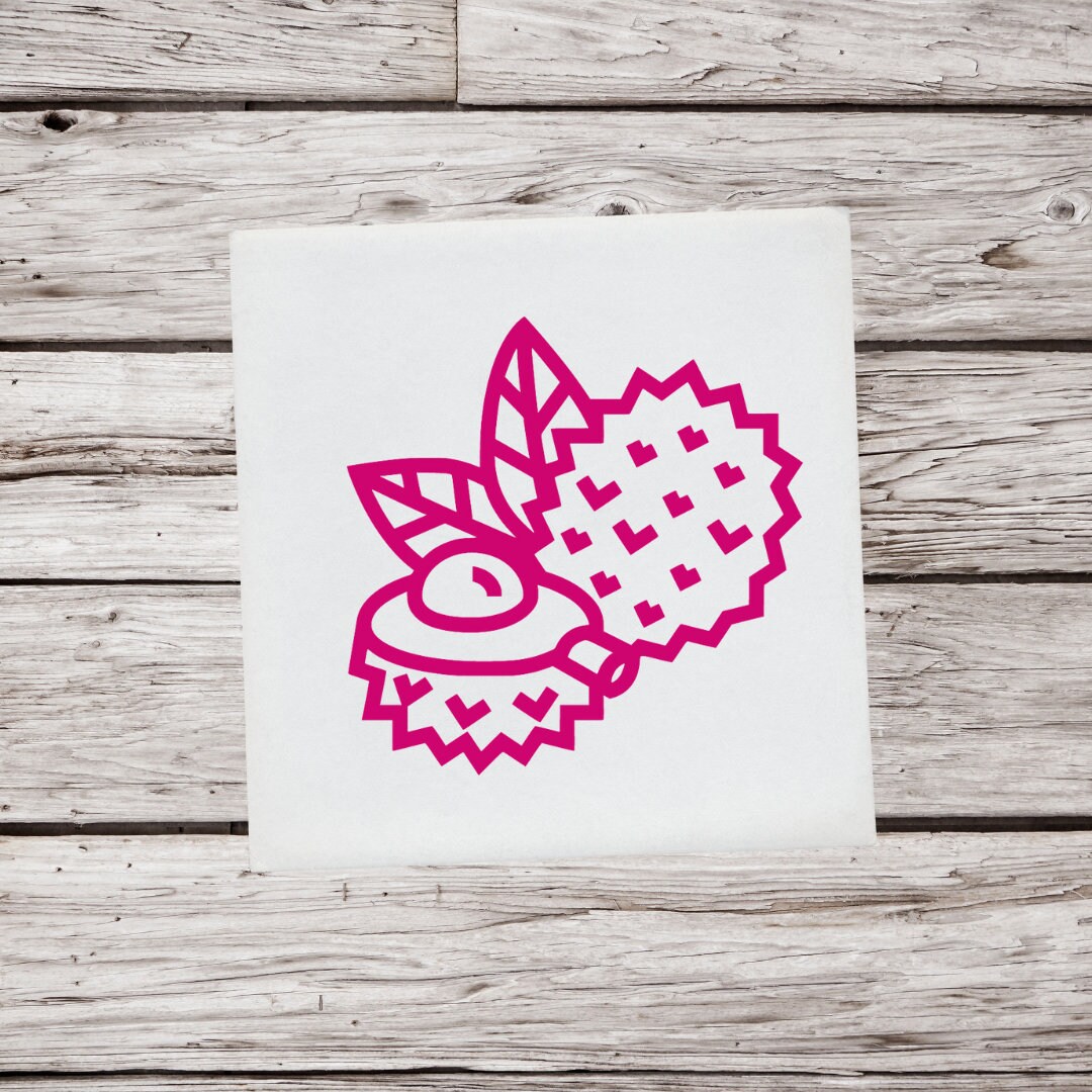 Lychee Decal, Lychee Sticker, Lychee Decoration, Fruit Decal, Tropical ...