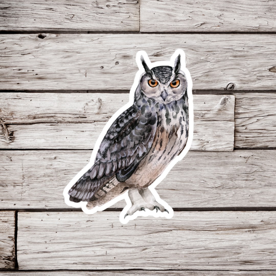 Great Horned Owl Sticker or Magnet, Owl Magnet, Waterproof Sticker ...