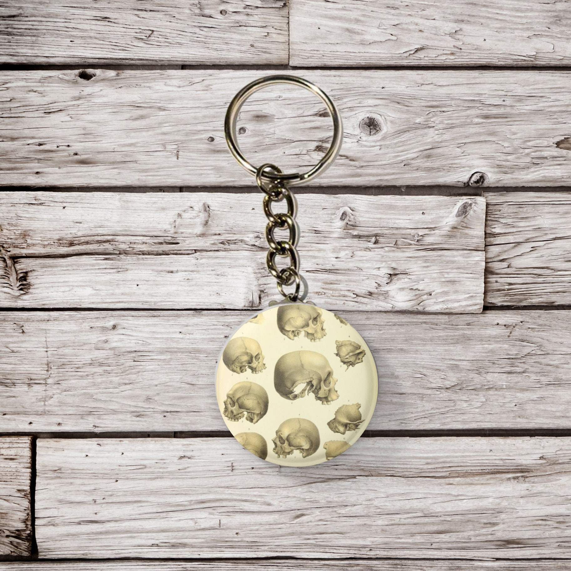 Skull Pin, Skull Pin Back Button, Skeleton Pin, Natural History Pin ...
