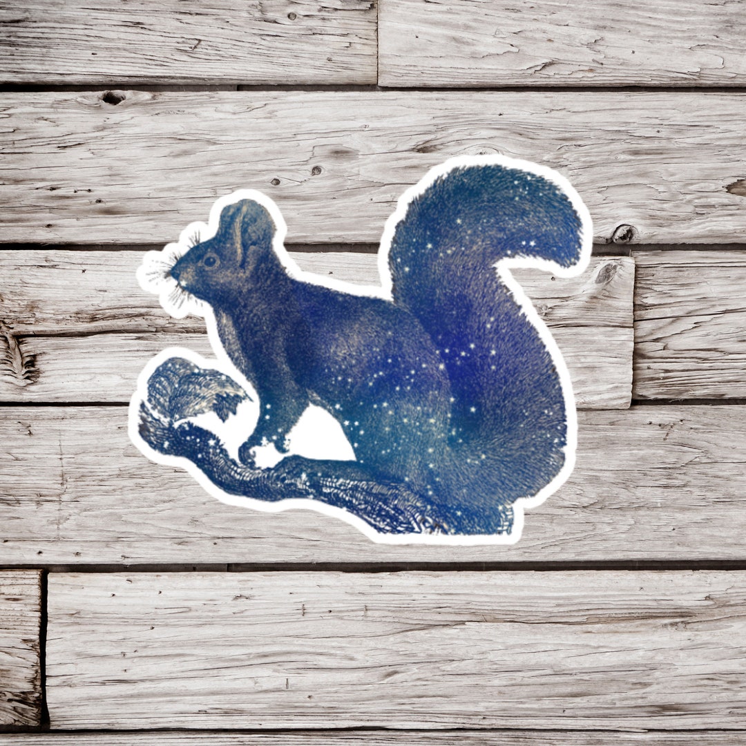 Squirrel Sticker, Celestial Squirrel Sticker, Celestial Sticker ...