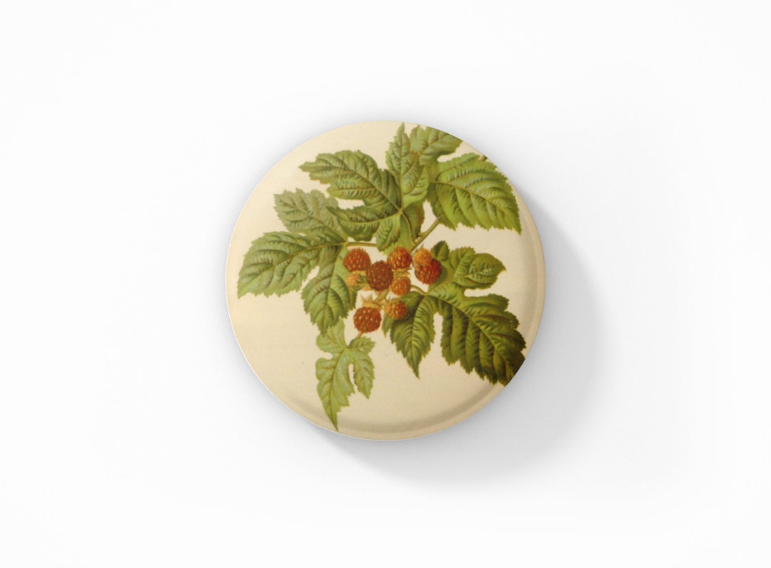 Raspberry Pin, Raspberry Pin Back Button, Raspberries Pin, Vintage ...