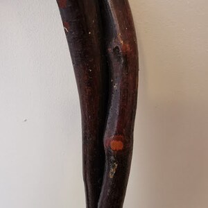 Unusual Gnarled Twisted Knobbly Wooden Walking Stick Cane With Snake ...