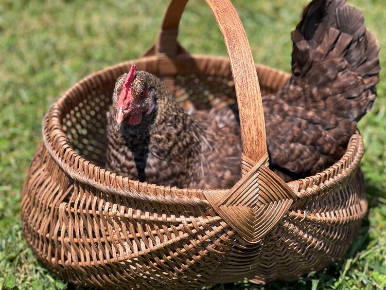 Broody Hen Basket - Etsy