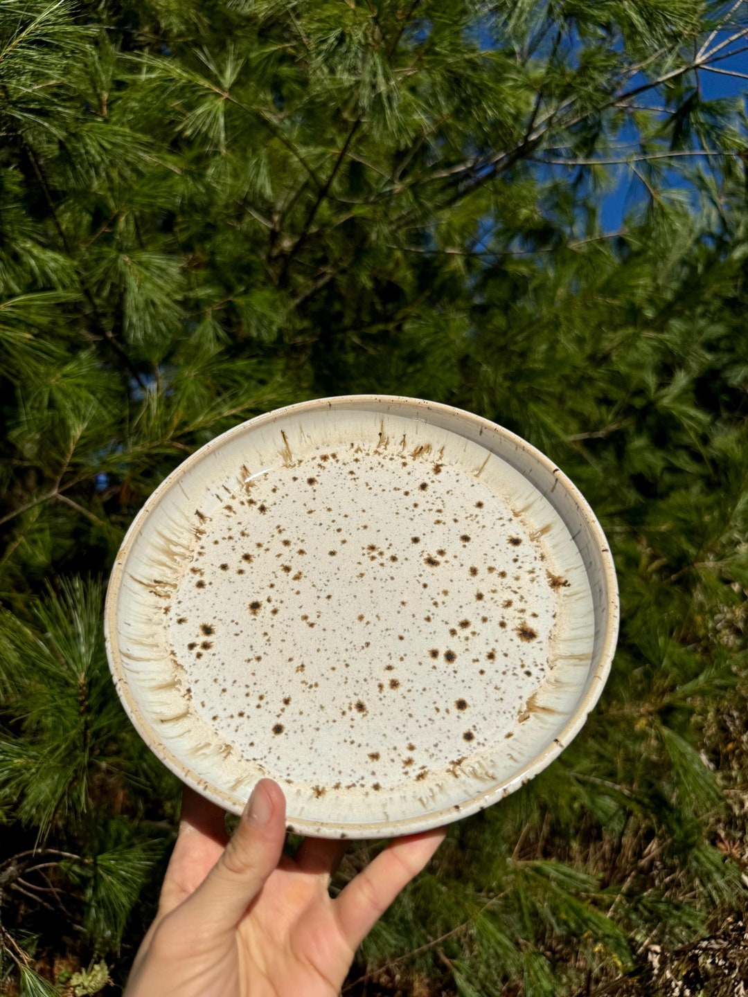 Ceramic Dinner Plate, Handmade Ceramics, Funky Pottery, Functional Art ...