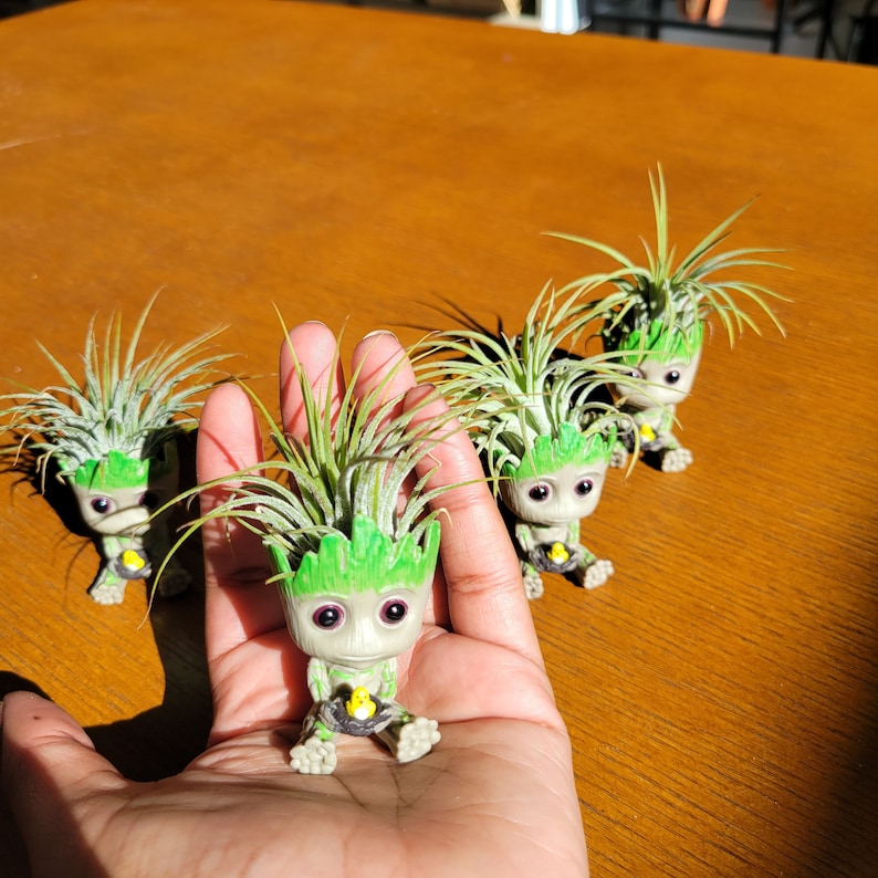 Air Plant Holder Baby Groot Planter Desk Decor Planter - Etsy