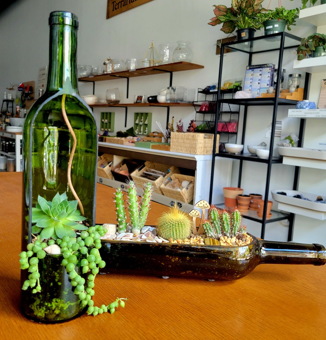 Wine Bottle Succulent Terrarium DIY Terrarium - Etsy