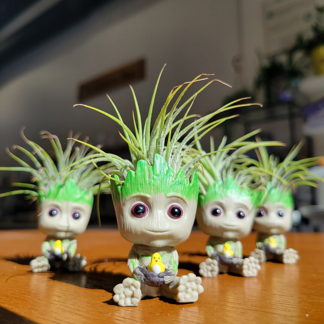 Air Plant Holder| Baby Groot Planter| Desk Decor| Planter| Small Gift ...