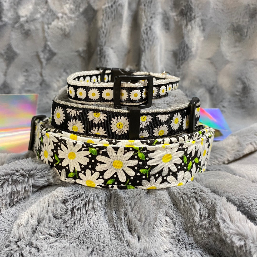 Collar Daisies for Dogs or Cats Fashion Collars - Etsy